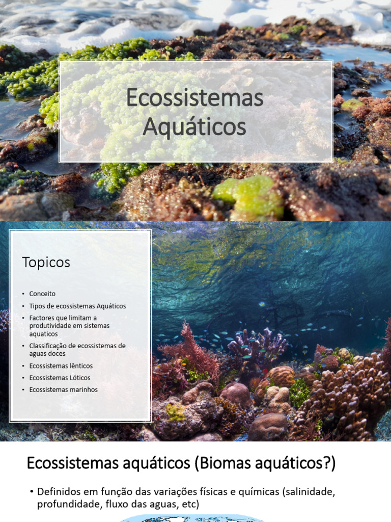 Ecossistemas Aquaticos Aula Ecologia | PDF | Ecossistema aquático | Ecossistema