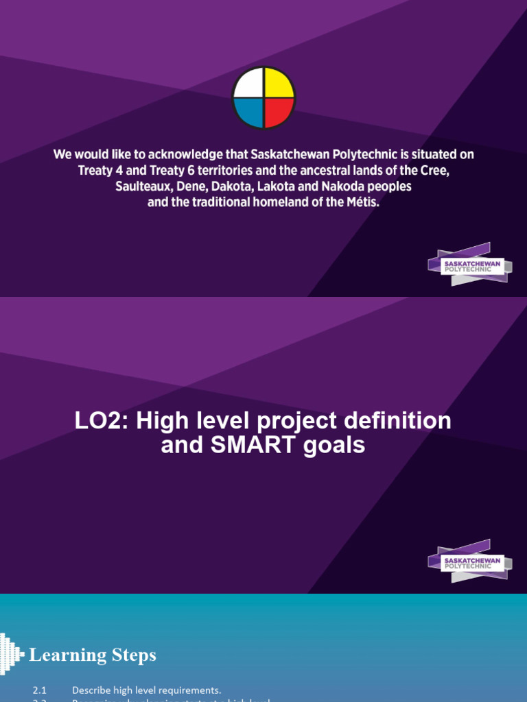 LO2 - PROJ606 - High Level Projects and SMART Goals | PDF | Needs Assessment | Business Analysis