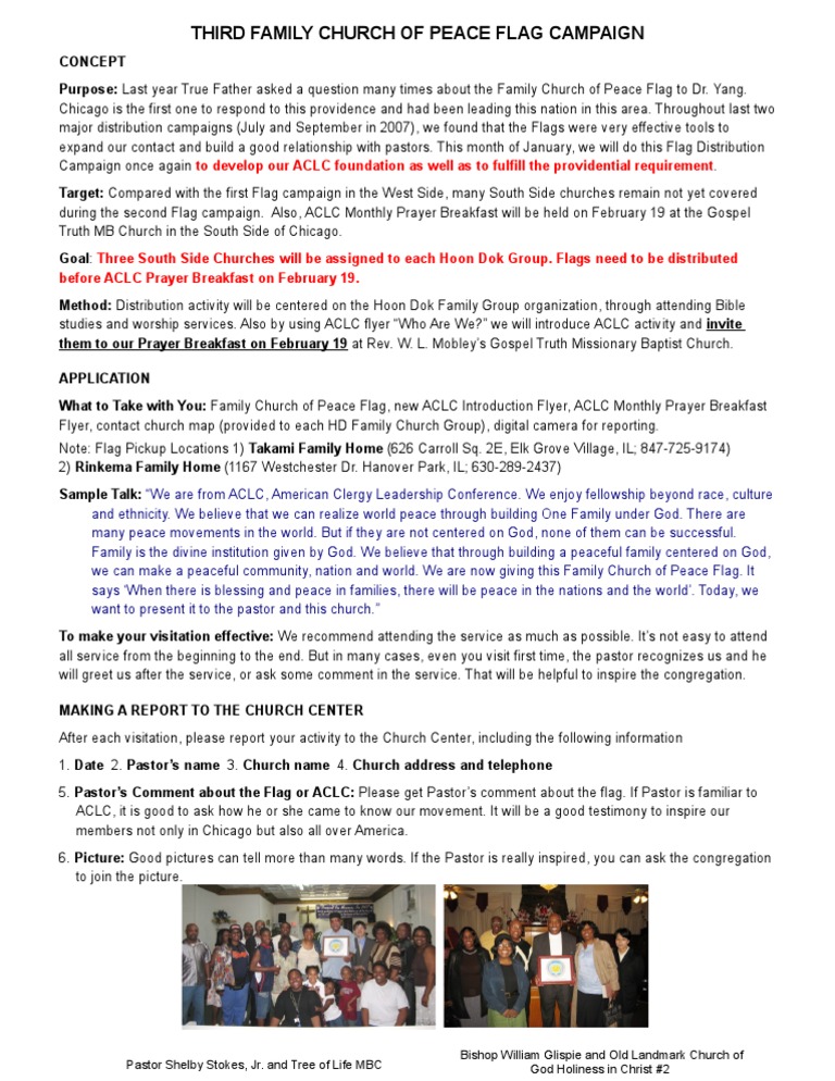 Flag Campaign Guidelines - South Side Feb 2008 | PDF | Protestant ...