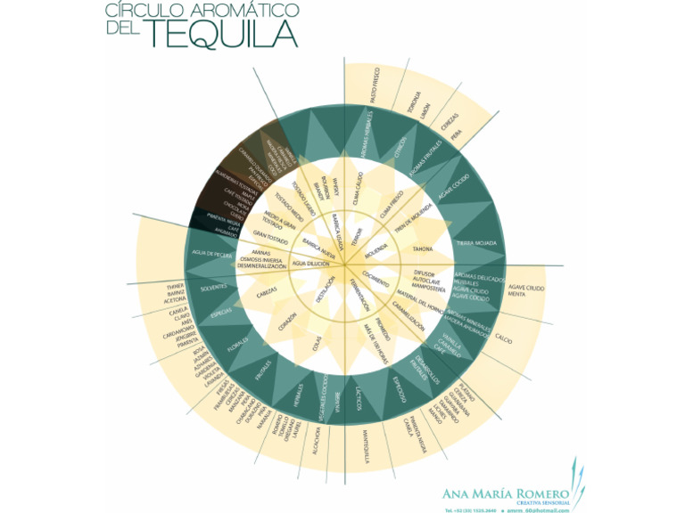 Circulo Aromatico Tequila | PDF