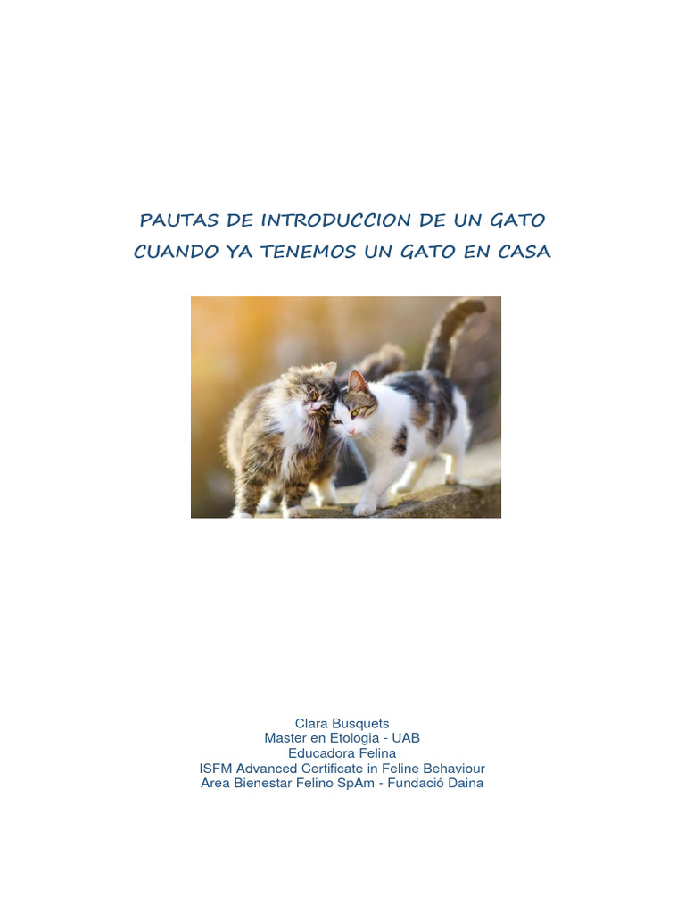 Introduccion gatos | PDF | Gatos | Animales y humanos