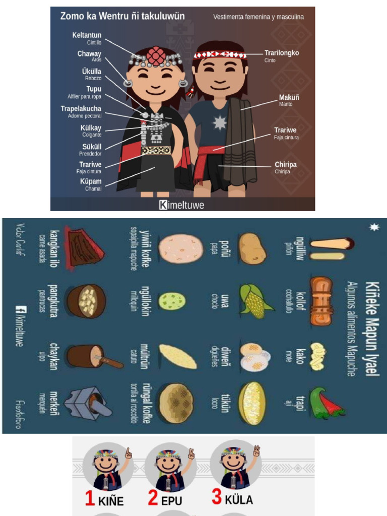 Presentación Mapuches 8 | PDF