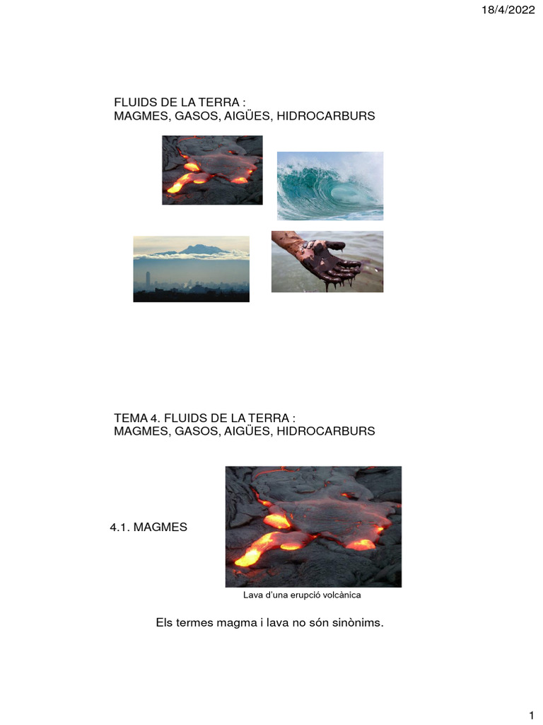 Tema4 Diapositives 2122 | PDF