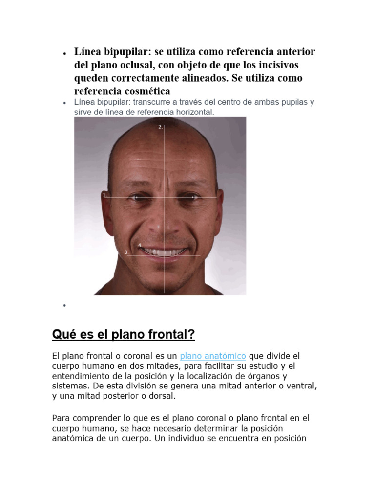 Anatomía: Línea Bipupilar y Plano Frontal | PDF | Estudios de idiomas ...