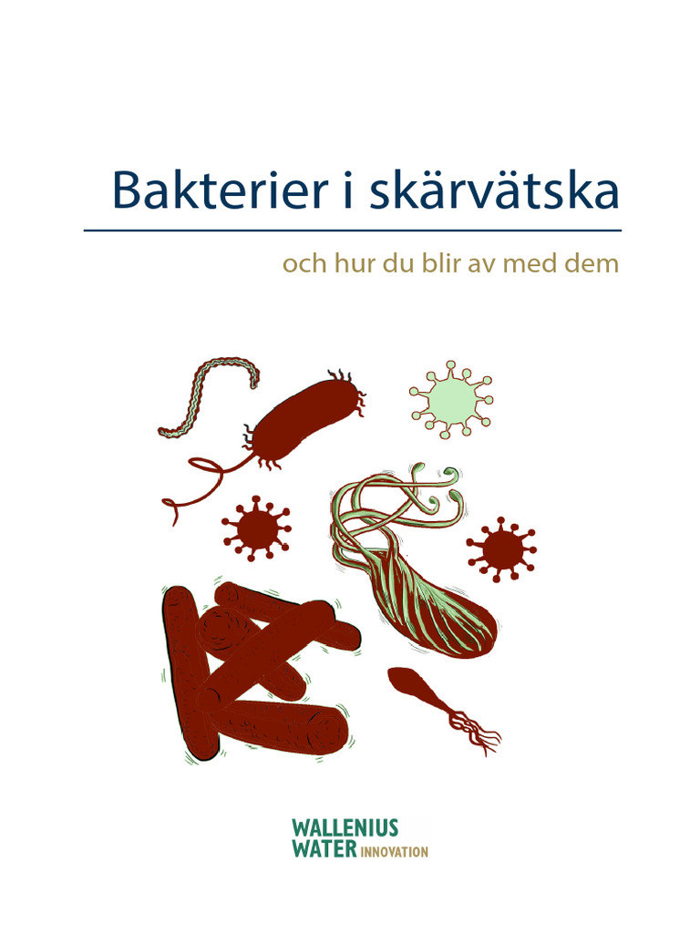 Ebok Bakterier | PDF