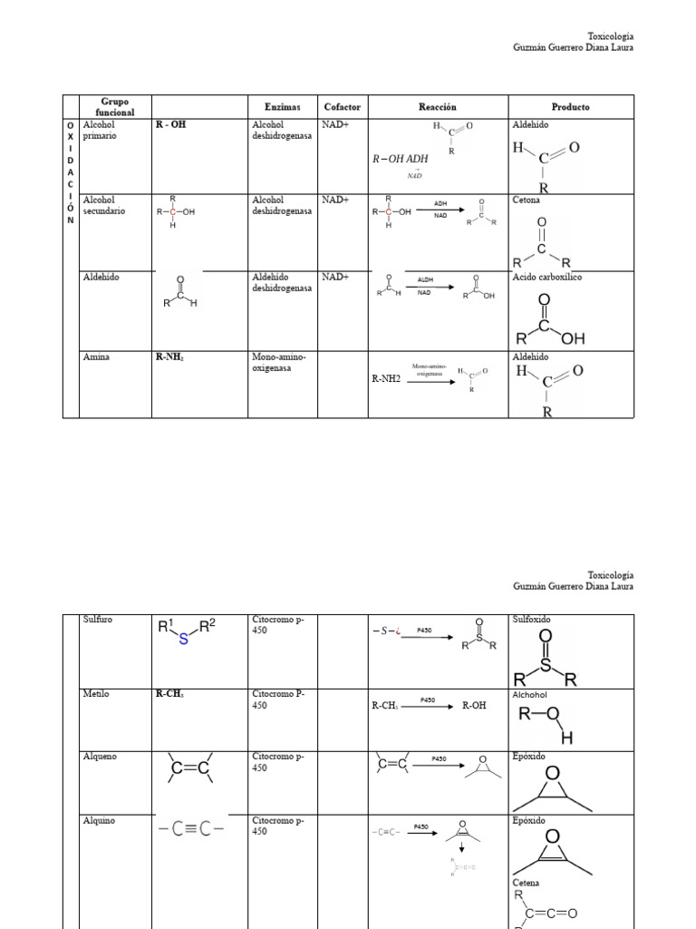 TABLA Corregida | PDF | Aldehído | Citocromo P450