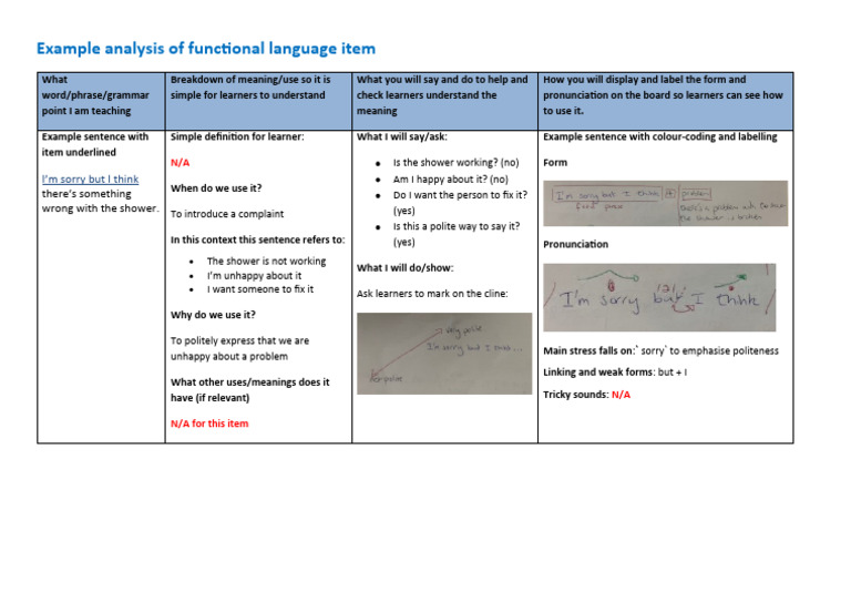 Example Analysis Of Functional Language Item Celta Pdf