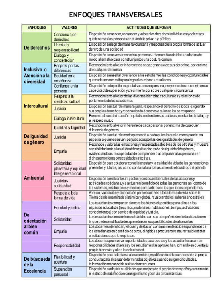 ENFOQUES TRANSVERSALES | PDF