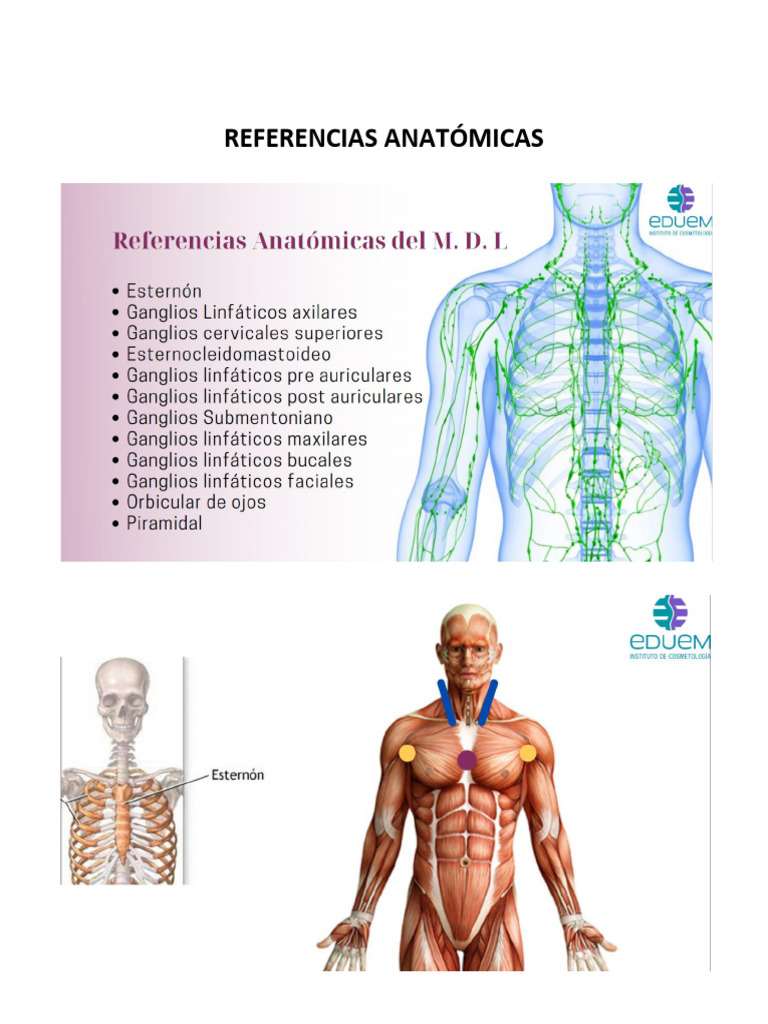 REFERENCIAS ANATÓMICAS | PDF