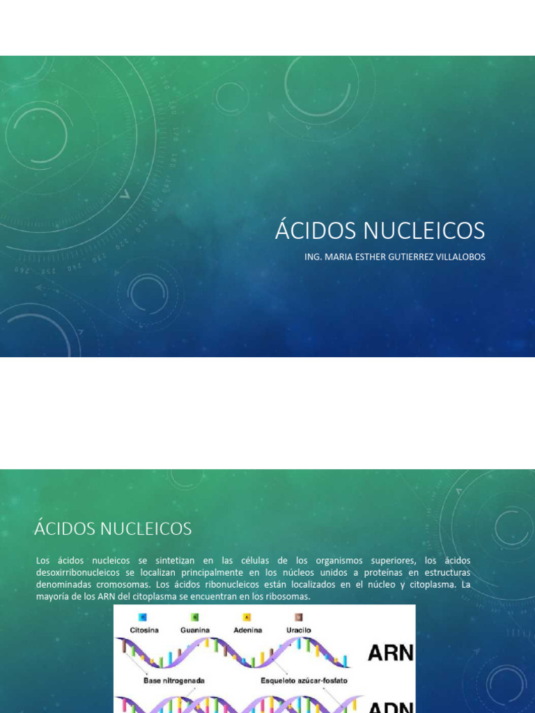 Ácidos Nucleicos PDF | PDF | Ácidos nucleicos | Adn