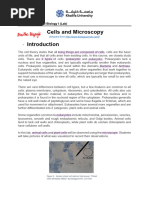 Onion Cell and Cheek Cell Lab | PDF | Cell (Biology) | Anatomy