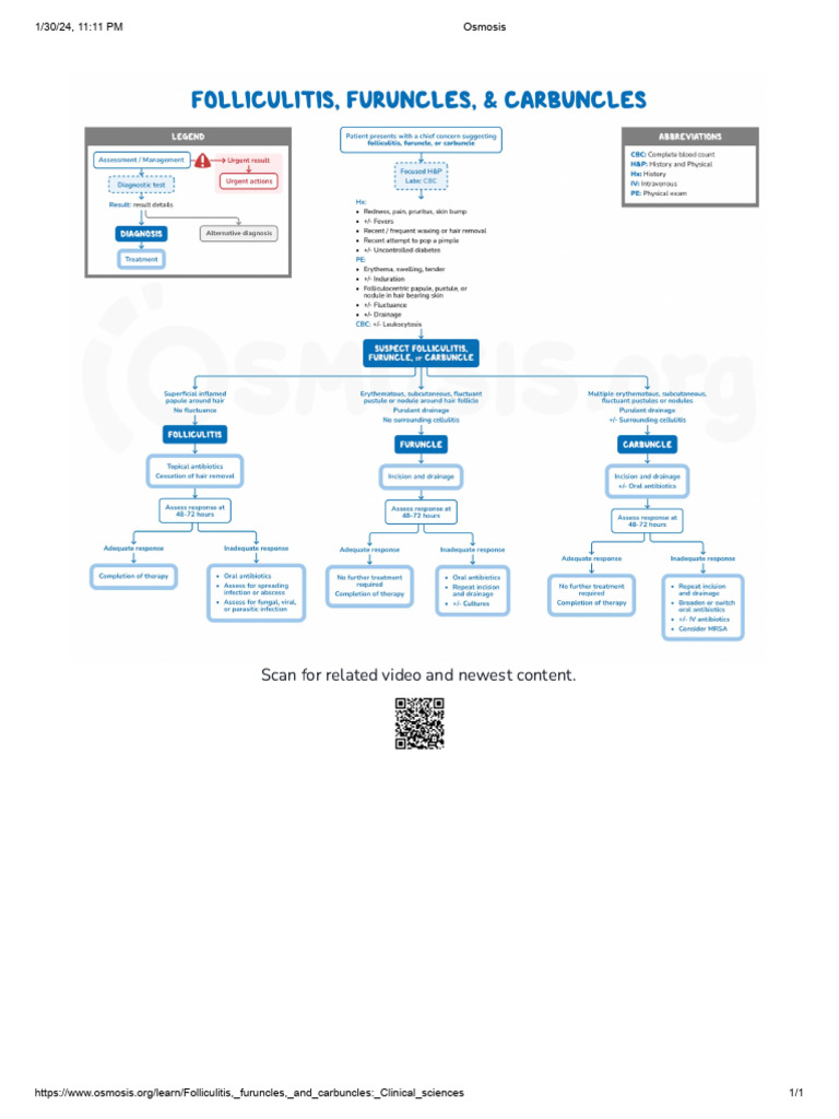 Folliculitis, Furuncles, and Carbuncles - Clinical Sciences - Osmosis | PDF