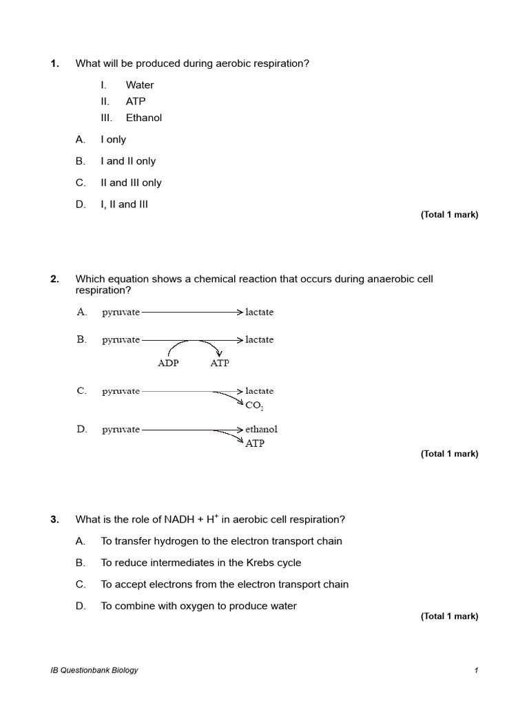 IB Biology Exam Questions | PDF | Cellular Respiration | Adenosine ...