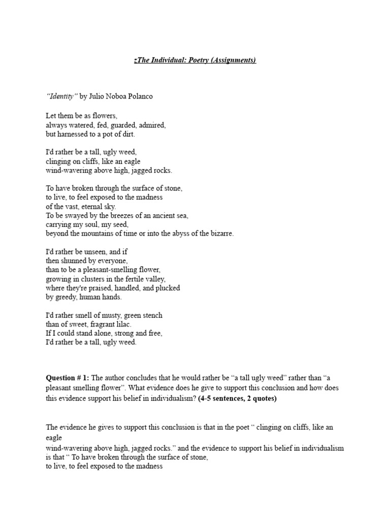 Individualism in "Identity" Poem Analysis | PDF | Poetry