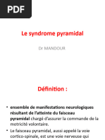 Comprendre le syndrome pyramidal | PDF | Système nerveux | Causes de décès