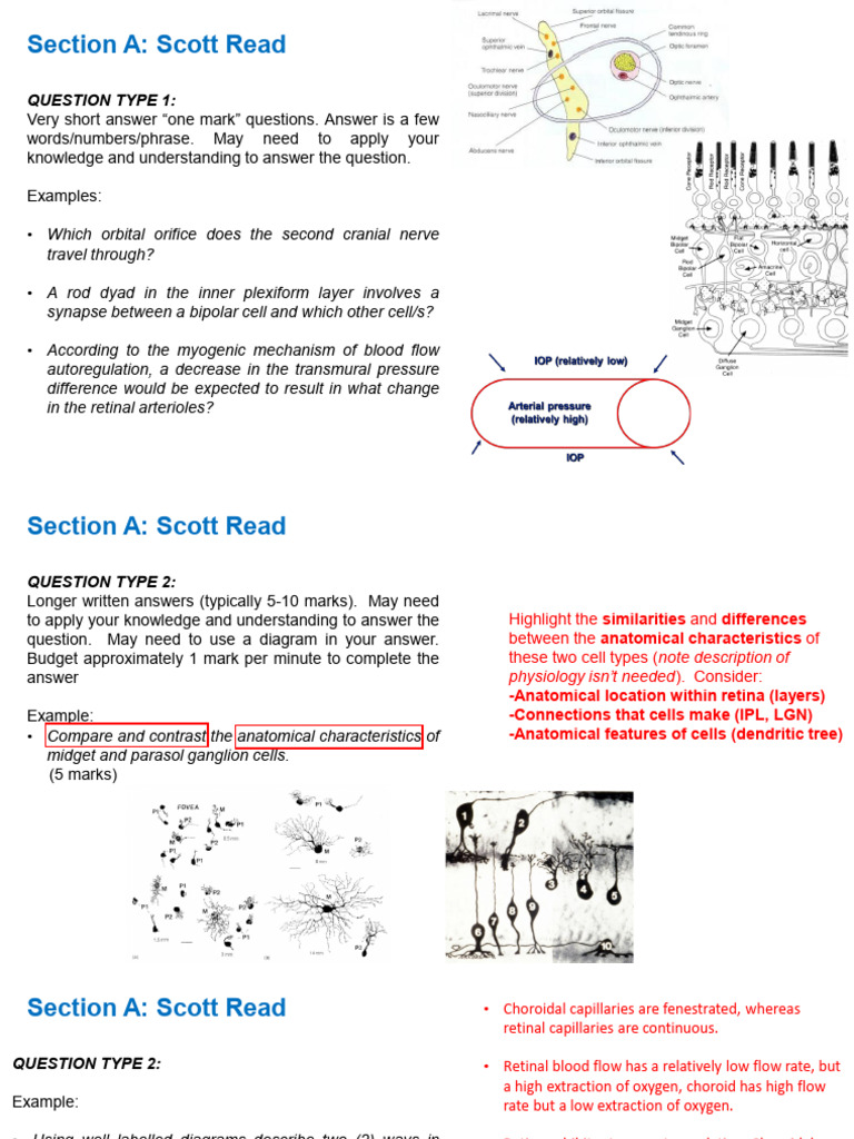 OPB452 End Sem Exam Tips Session 2022 | PDF | Retina | Anatomy OPB452 End Sem Exam Tips Session 2022 | PDF | Retina | Anatomy