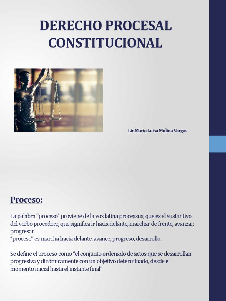 1.derecho Procesal Constitucional | PDF | Ley procesal | Jurisdicción