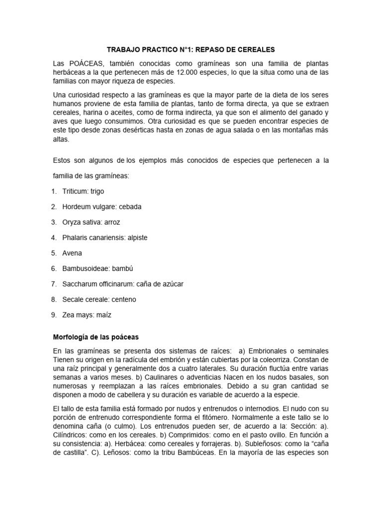 Tp1-Repaso Cereales | PDF