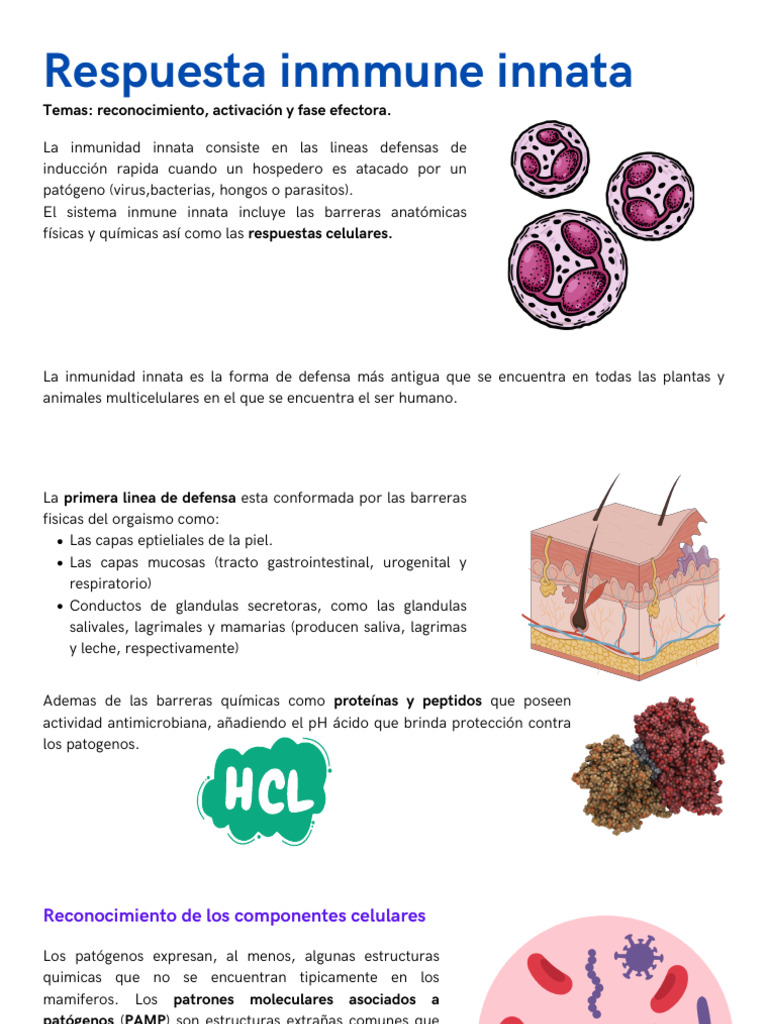 Respuesta Inmune Innata - 1ra Parte | PDF | Receptor de peaje | Sistema inmune