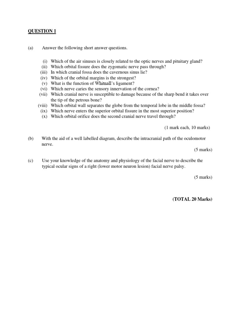 OPB452 Example Exam Questions - SR | PDF | Retina | Artery