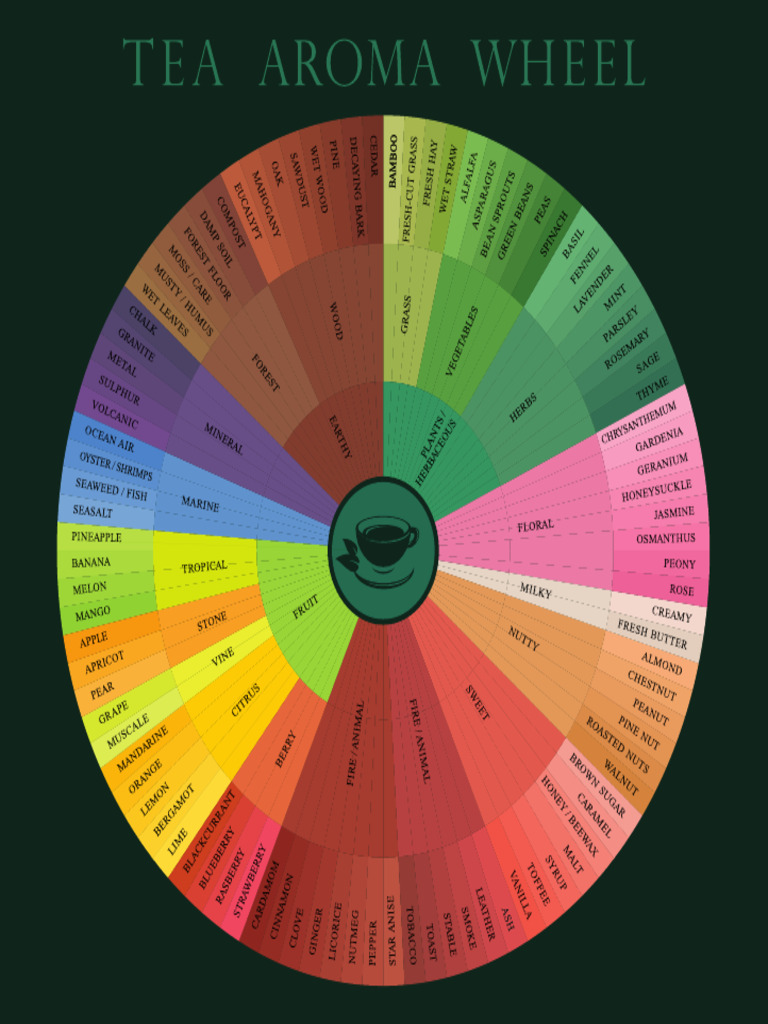 Tea Tasting Wheel | PDF