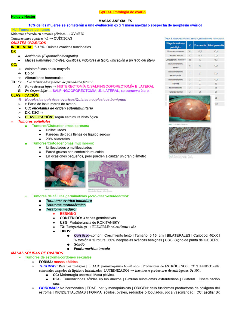 GyO 14. Patología de Ovario | PDF | Ovario | Cáncer