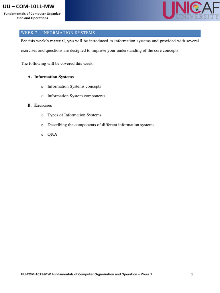 Week 7- Information Systems | PDF | Information | System