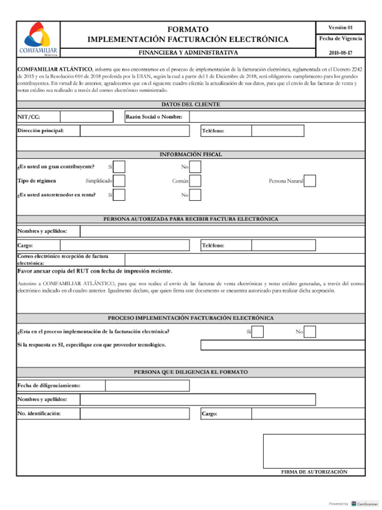 Formato Factura Electronica | PDF