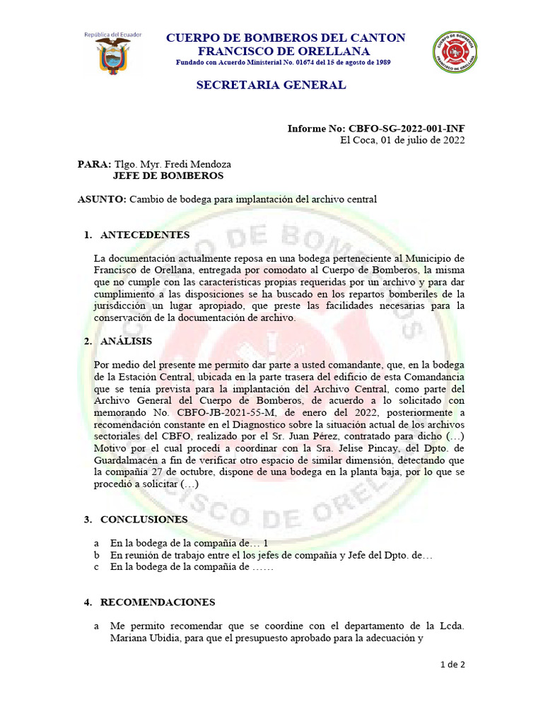 Formato Informe General | PDF