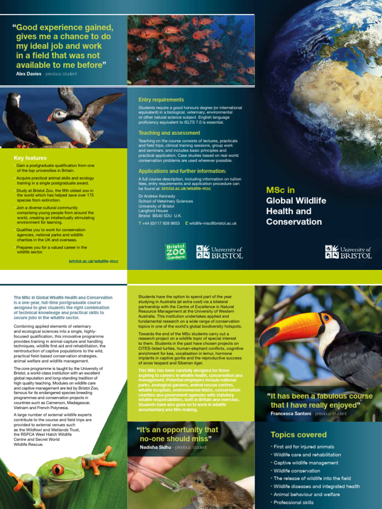 Good Experience Gained, Gives Me A Chance To Do My Ideal Job and Work ...