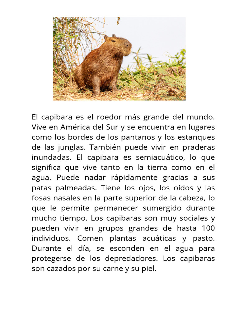 Texto Capibara | PDF | Hogar, jardinería y bricolaje | Ciencia y ...