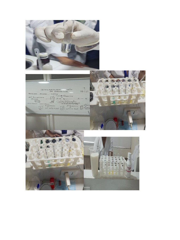 Nuevo Documento de Microsoft Word BBBBB | PDF