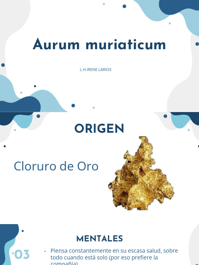 Aurum Muriaticum | PDF | Cocina, comidas y vino