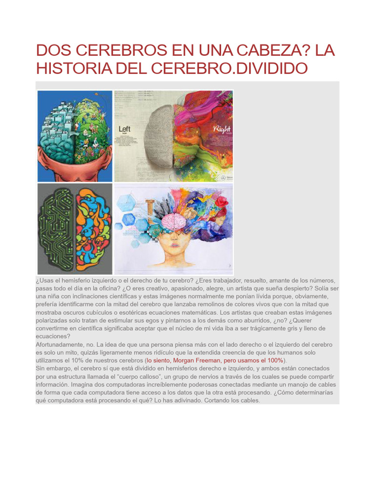 Dos Cerebros | PDF | Hemisferio cerebral | Cerebro