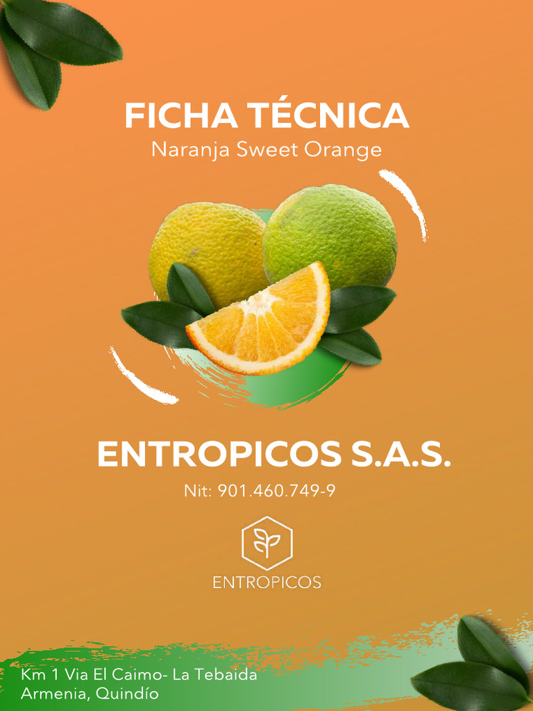 Ficha Tecnica Naranja Sweet Orange Comprimido | PDF | Naranja) | Cosecha