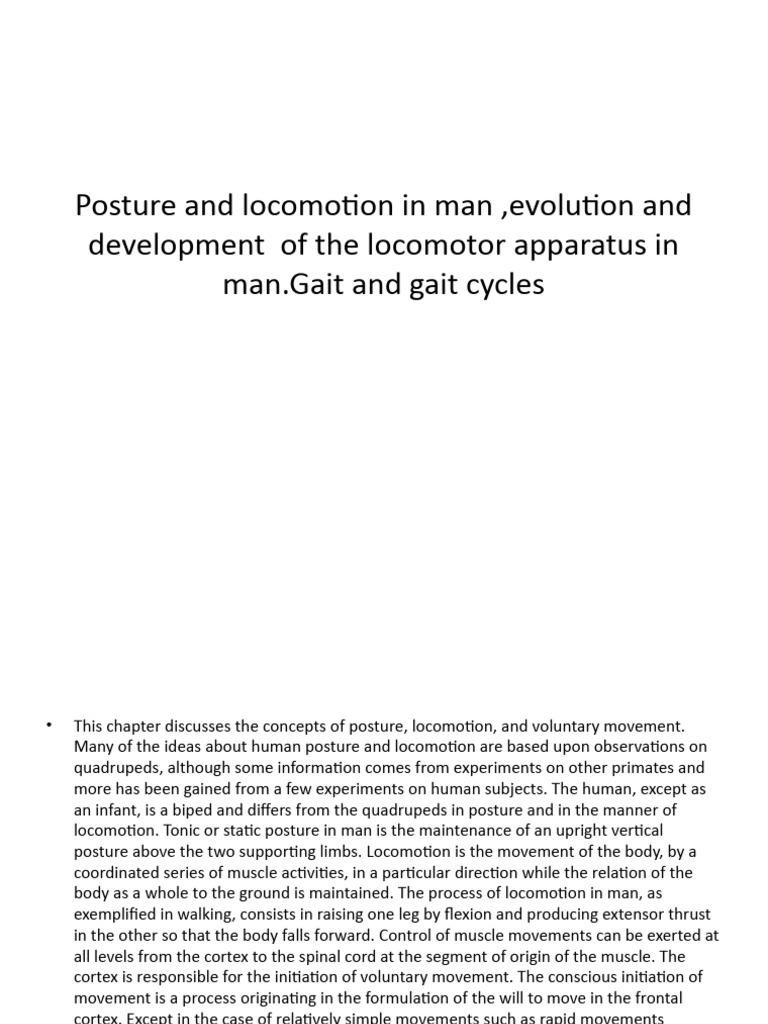 Human Posture and Locomotion Explained | PDF | Pelvis | Human Leg