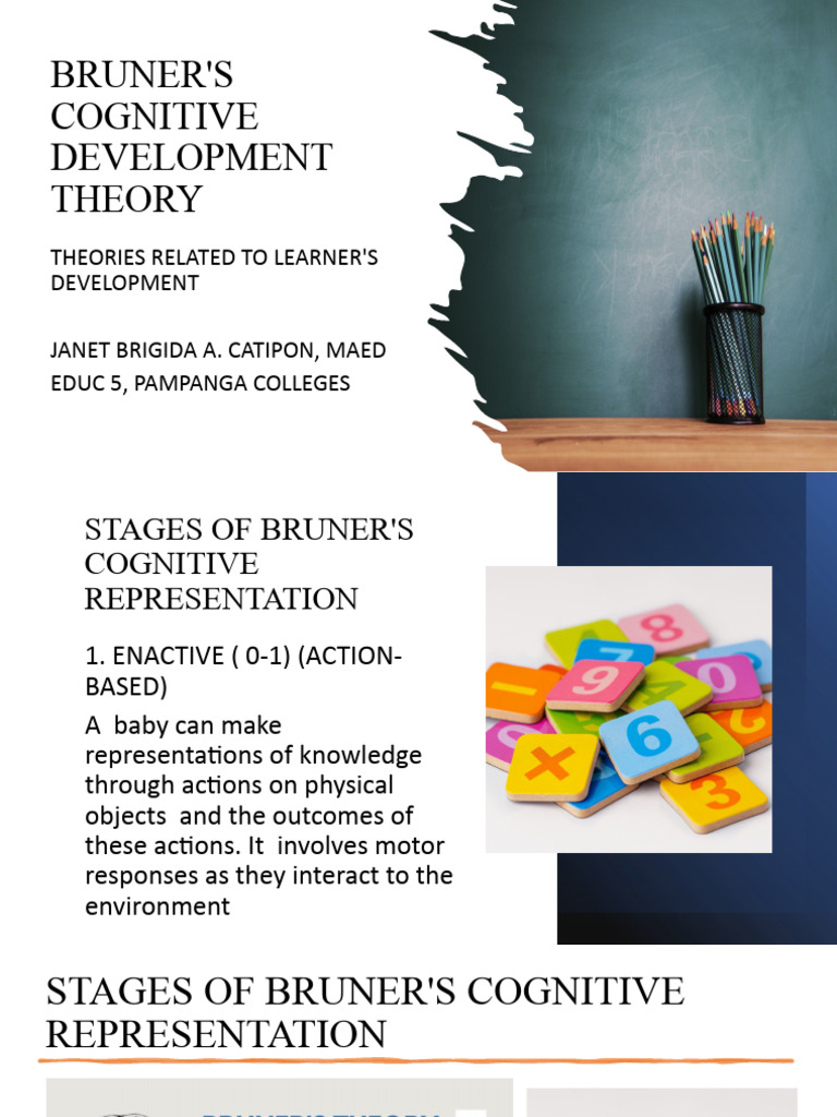 Bruner's Theory of Cognitive Development | PDF | Learning | Cognition