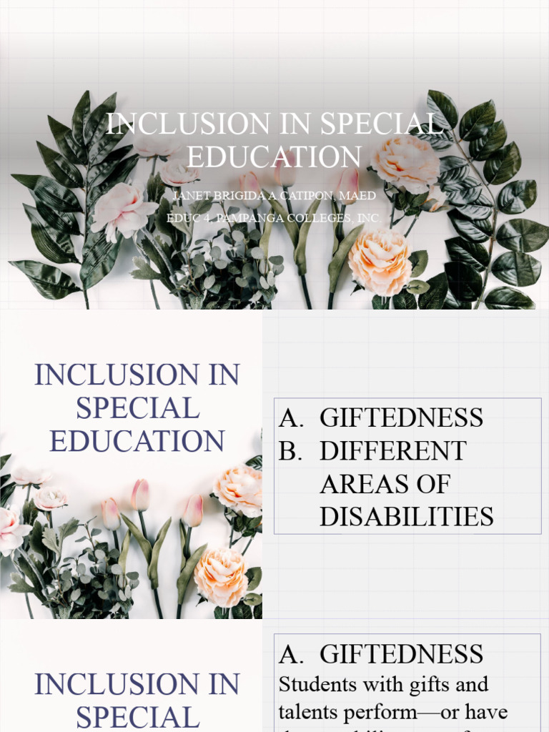 Inclusion in Special Education | PDF | Mental Disorder | Disability