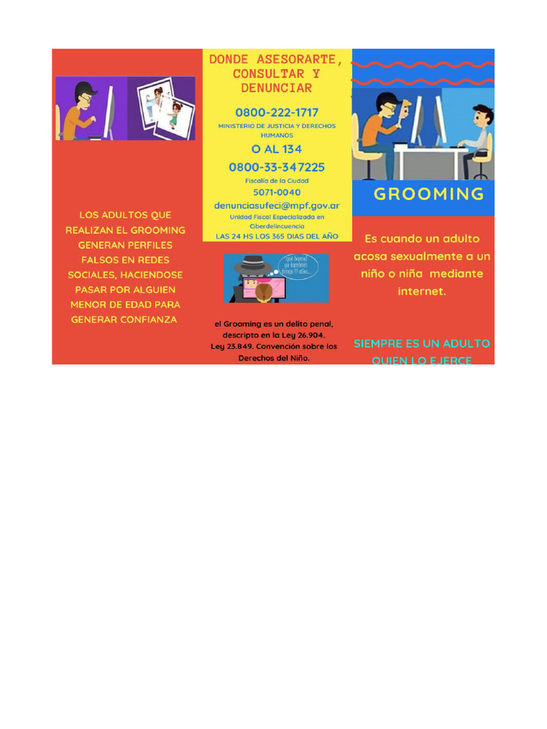 Folleto de Grooming | PDF