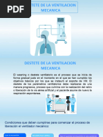 Protocolo Blue | PDF | Enfermedades y trastornos | Neumología