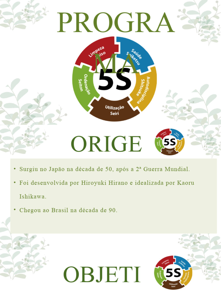 Programa 5 S | PDF