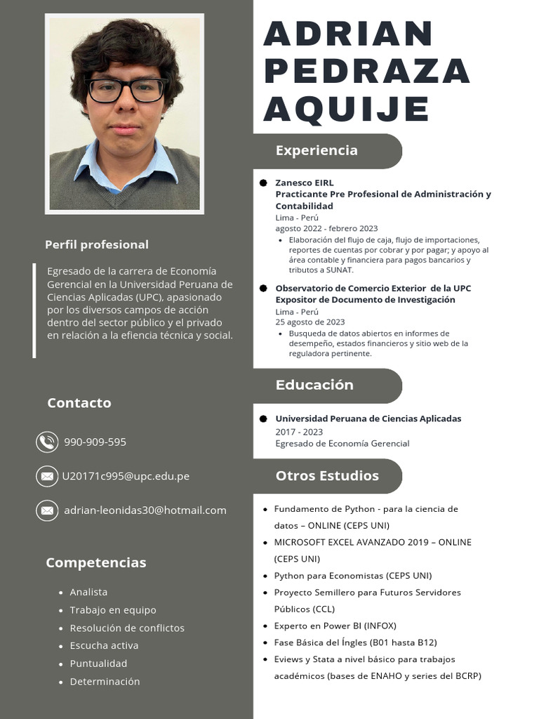 CV Adrian Pedraza | PDF | Contabilidad | Perú