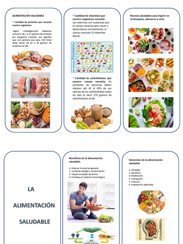 Triptico Alimentación Saludable | PDF