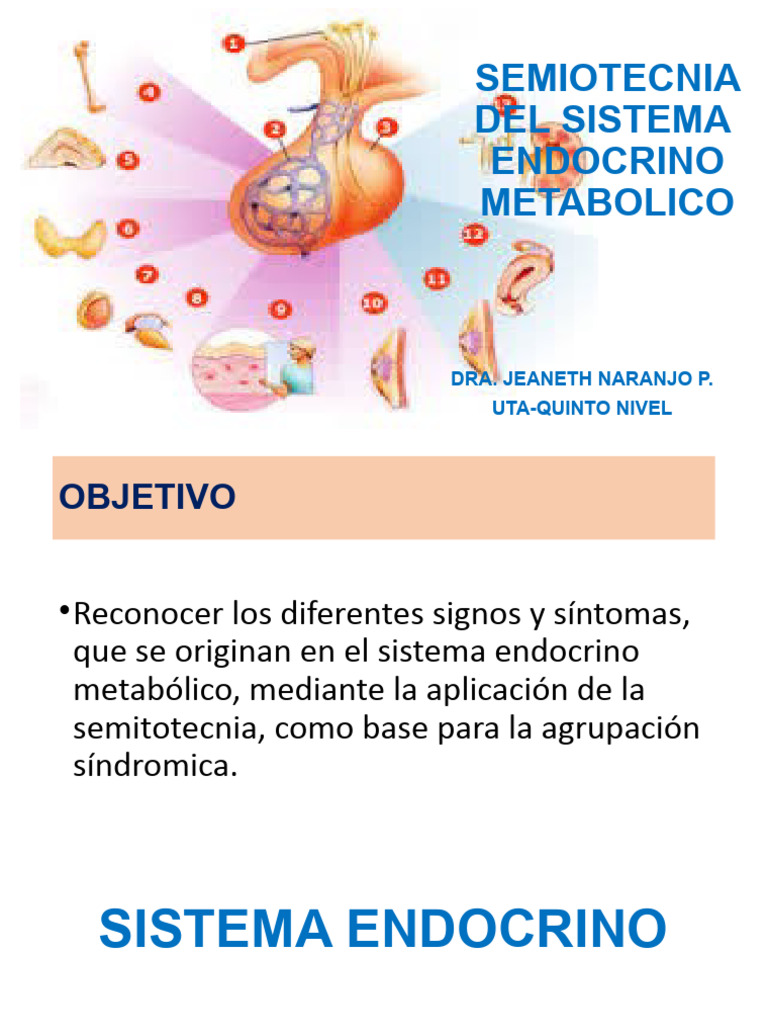 Semiotecnia del Sistema Endocrino Metabólico | PDF | Sistema endocrino ...