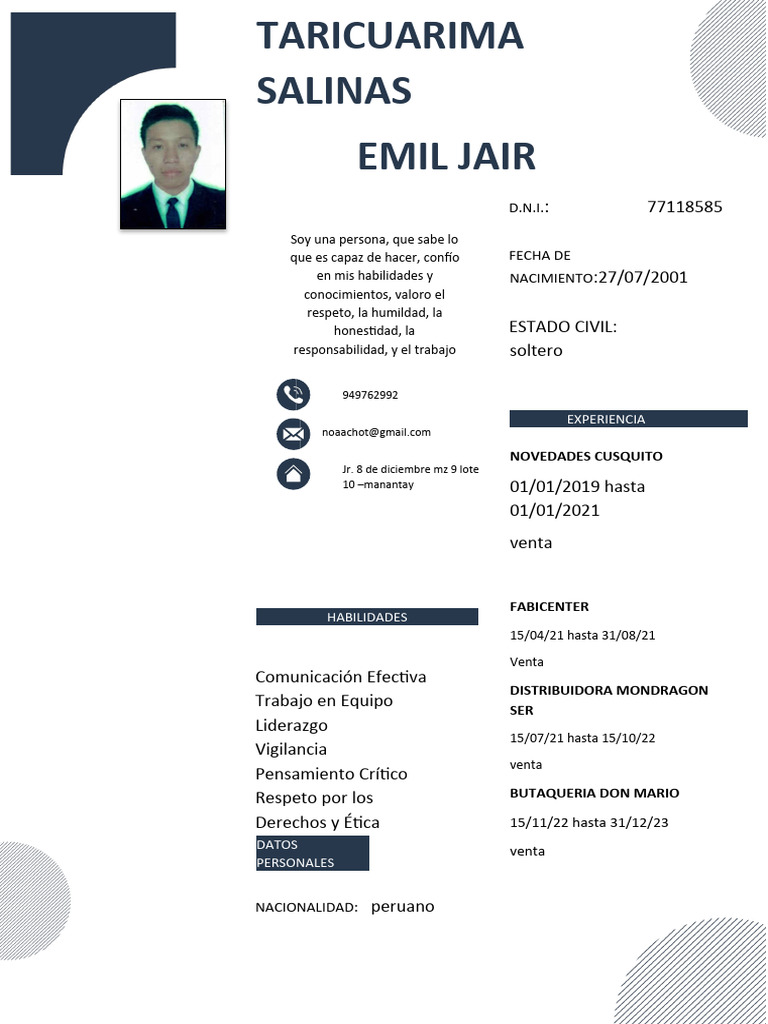 cv emil jair | PDF