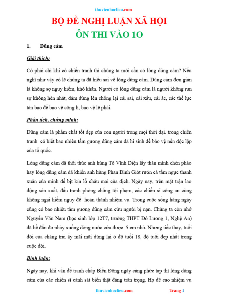 Bo de Nghi Luan Xa Hoi Ngu Van 9 | PDF