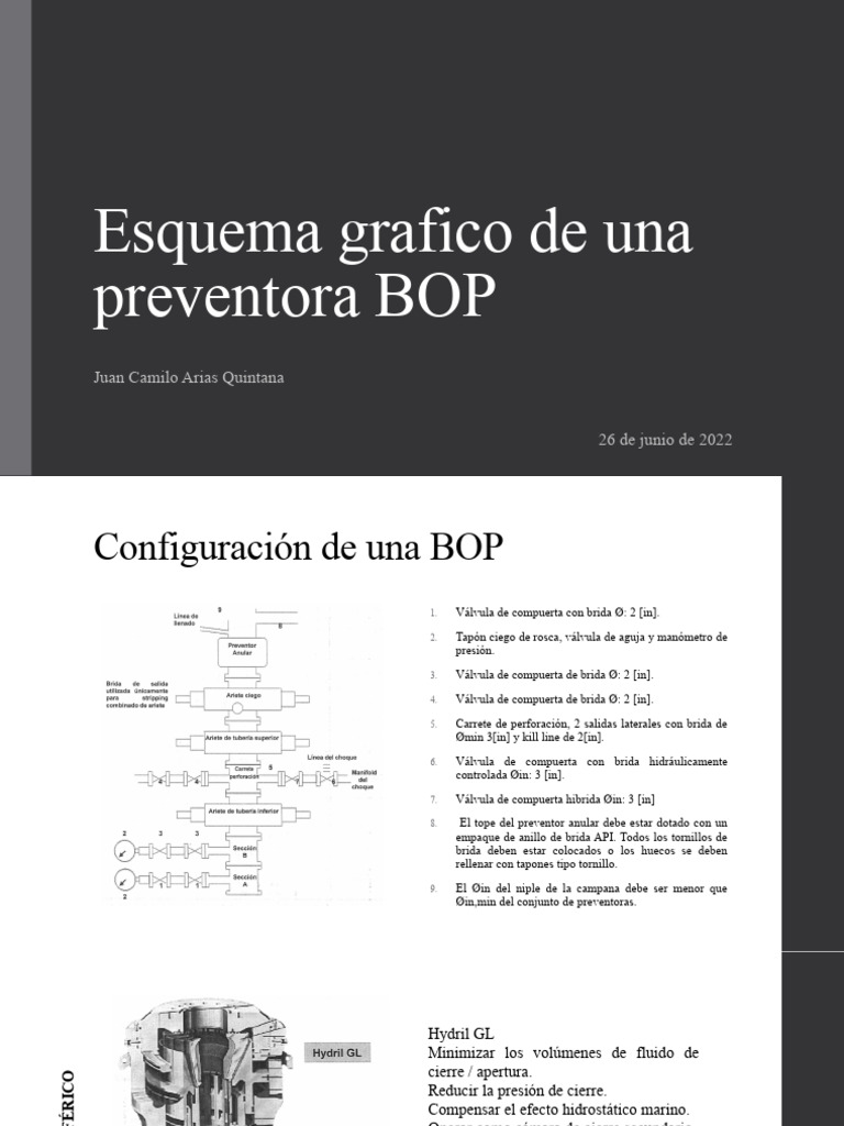 Esquema de Preventora BOP | PDF