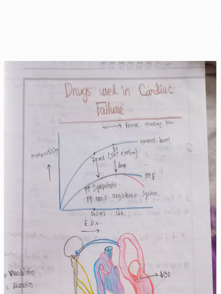 Cardiac Failure Introduction | PDF