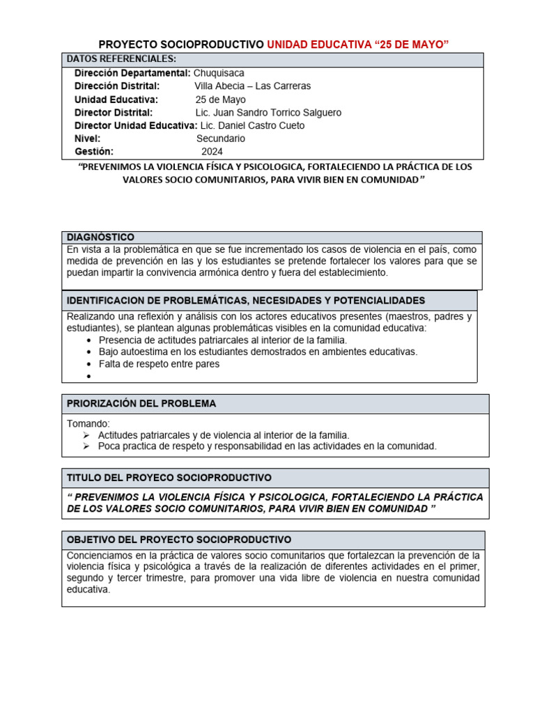 Plantilla PSP 2024 | PDF