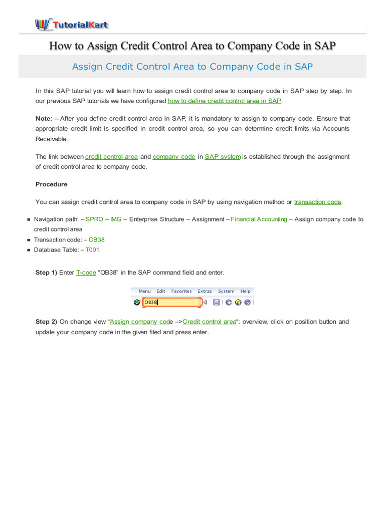 How To Assign Credit Control Area To Company Code in Sap | PDF ...